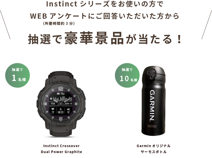キャンペーン期間
